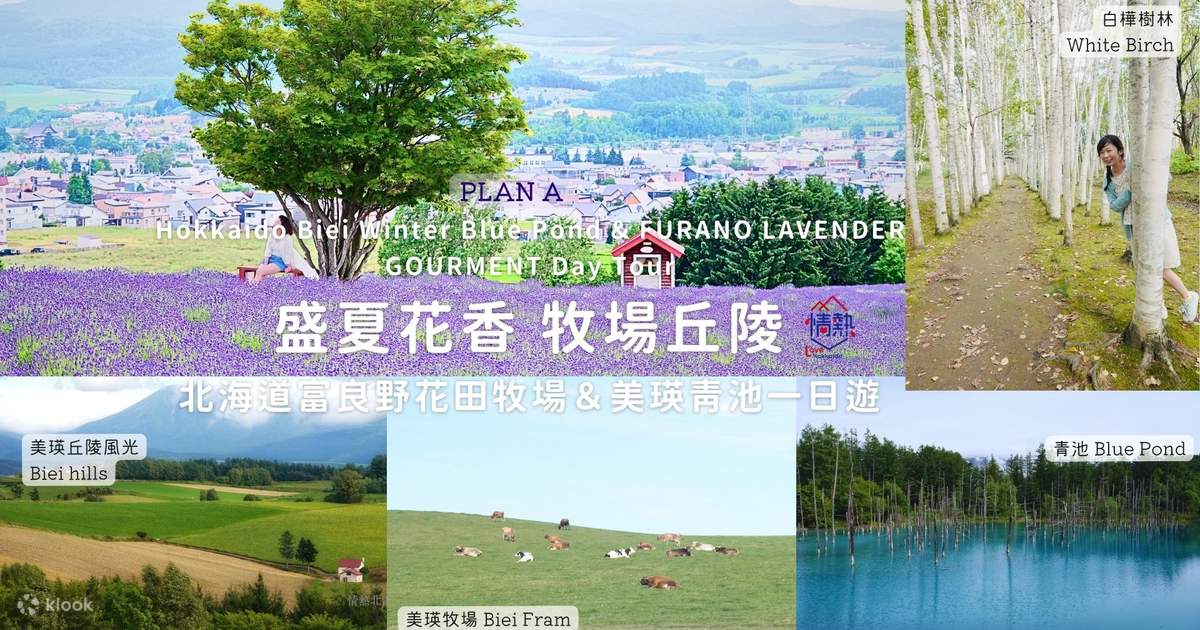 홋카이도｜여름 후라노 로맨틱 라벤더 일일 투어｜삿포로 출발 클룩 Klook 한국